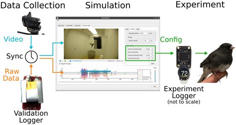 The Validation Workflow Visualized Video And Sensor Data From A Download Scientific Diagram