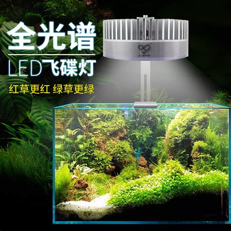 水草缸的灯光配置 水草灯怎么选 大型水草缸 第6页 大山谷图库