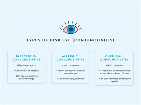 Conjunctivitis What Is Pink Eye Warby Parker