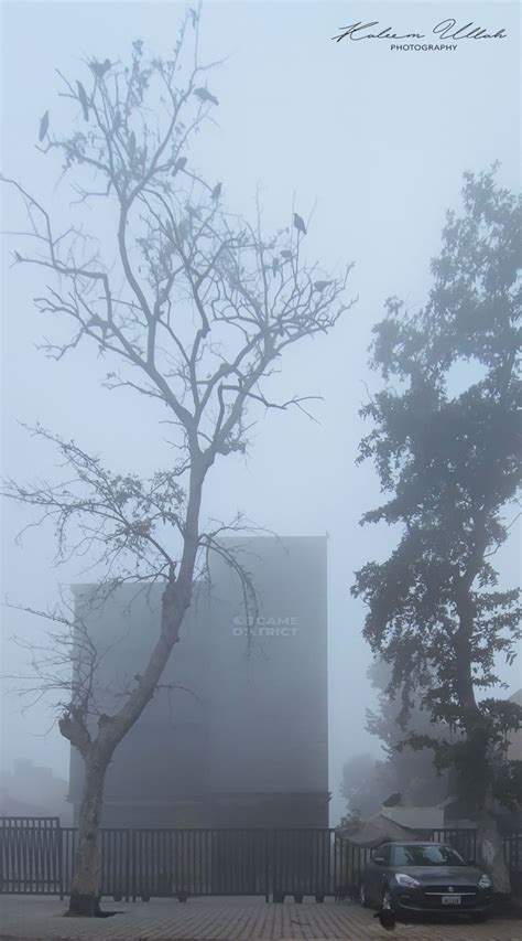 Talha Taram Posted On Linkedin