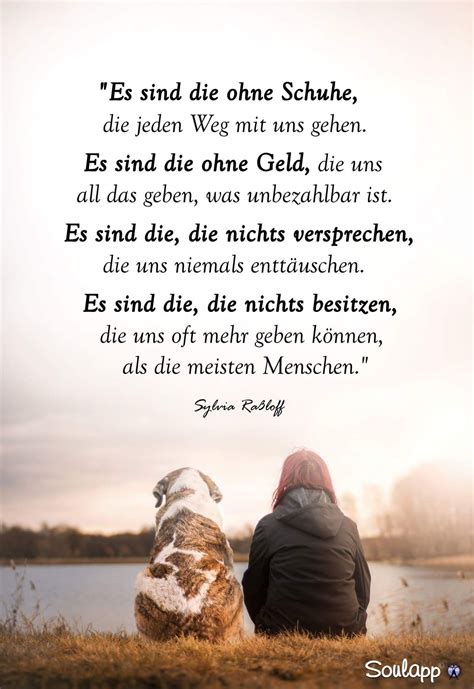 Pin Von Danimaus Auf Spruche Hund Zitat Zitate Tiere Sun Tzu Mutter Tochter
