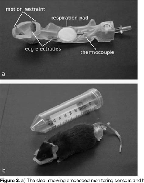 Figure 1 From Multiple Mouse Neuroanatomical Magnetic Resonance Imaging