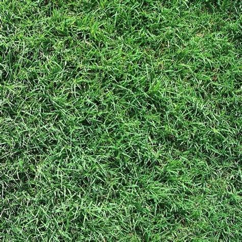 Fort Worth Grass And Stone Common Bermudagrass