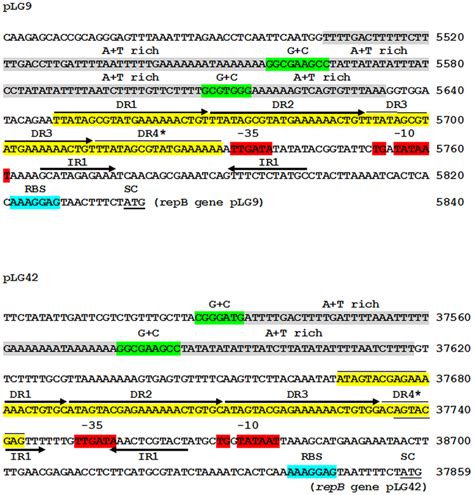 Detailed Dna Sequence At The Ori Region Of Plg9 And Plg42 Direct Dr
