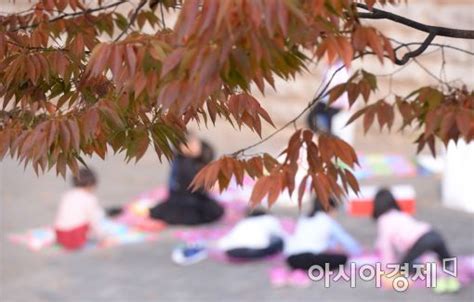 포토 가을 단풍 아래 아시아경제