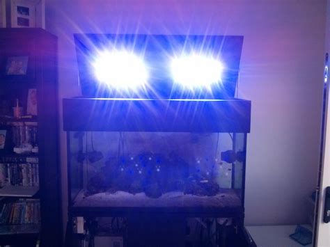 My Diy Led Build Using Arduino Controller Page 3 Reef2reef