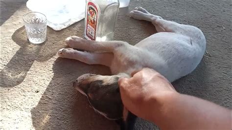 Mandaraya Sa Tagayan Youtube