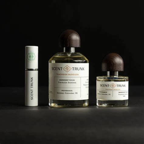 Demystifying Fragrance Breathing More Colour Memories And Persistence