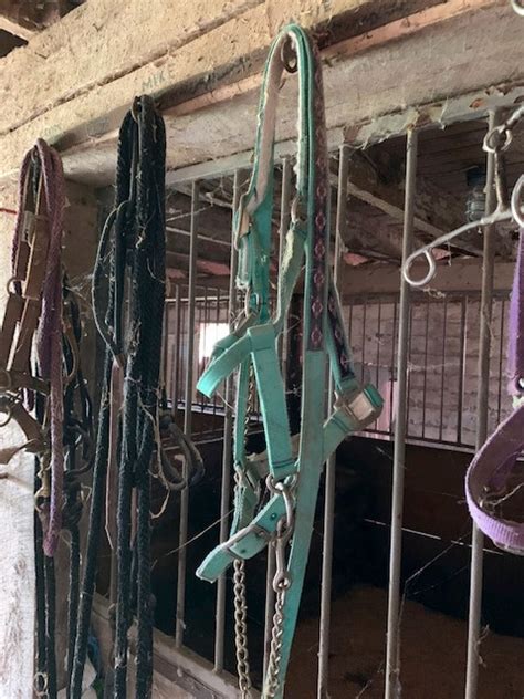 Horse Collars And More Equestrian And Livestock Accessories Windsor