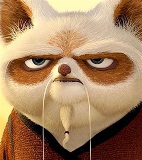 El Maestro Shifu Zeichentrickfilme Dreamworks Meme Vorlage