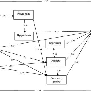 Path Diagram For The Predictors Of Sexual Function In Women With Download Scientific Diagram