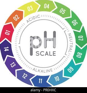 pH meter for measuring acid alkaline balance. Vector infographics in the circle form with pH ...