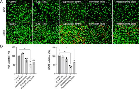 Cell Viability Was Reduced After The Exposure Of Cells To Lysates A Download Scientific