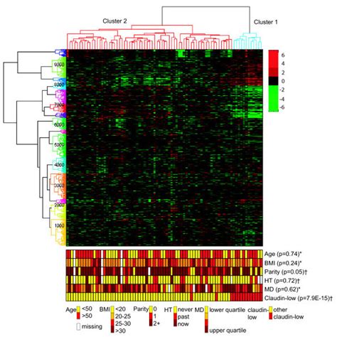 Unsupervised Hierarchical Clustering Of 40 Samples From The Validation