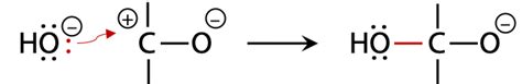 Amino Acid Separation Protein Hierarchy And Chemical Reactivity Bioc