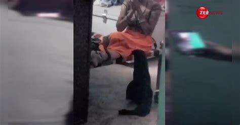 King Cobra Wrapped Around Woman Leg For 3 Hours To Get Rid Of It She