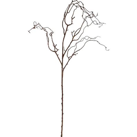 24 Pack Natural Brown Twig Branch Oriental Trading