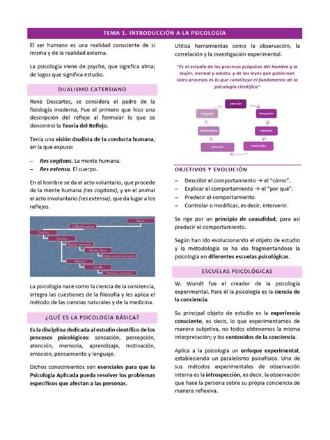 Procesos Psicológicos Básicos Pdf Hipótesis Atención