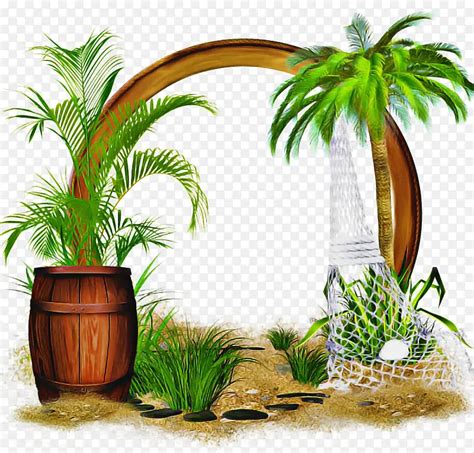 棕榈树 植物 博客PNG图片素材下载 图片编号6873227 PNG素材网