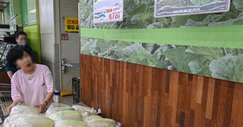 ‘입 벌어지는 가격 배춧값 잡을 수 있을까