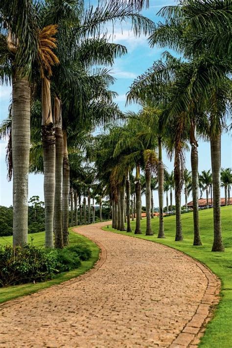 Paisagismo em sítios e chácaras confira exemplos inspiradores