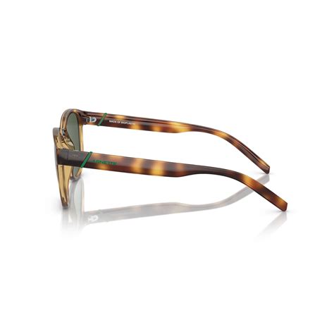 Barranco Dark Havana Polar Dark Green Pol