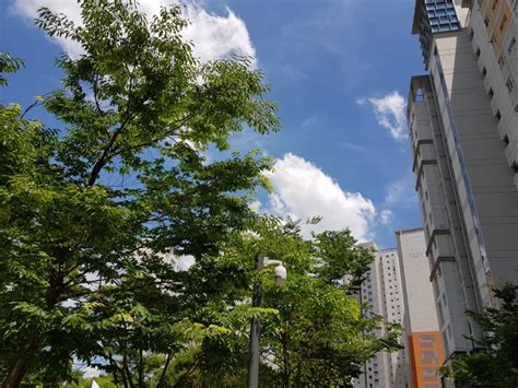 동탄2 청계동 시범예미지 추천매물 84㎡전세 네이버 블로그