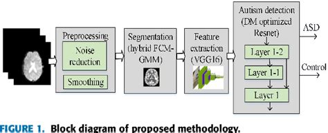 Figure 1 From Autism Detection Of Mri Brain Images Using Hybrid Deep Cnn With Dm Resnet
