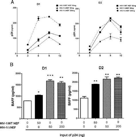 Hiv 1 Mediated Baff Upregulation Is Also Seen With Nef Deficient Virus