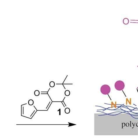 Reaction Of Branched Polyethylene Imine Functionalized Surface With Download Scientific Diagram