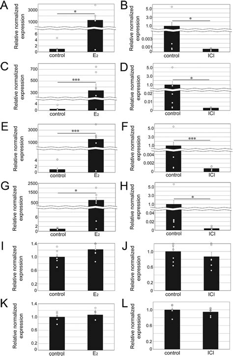Effect Of E 2 On Stfa Ctsb And Ctsl Expression In Cultured P4 Ovaries Download Scientific