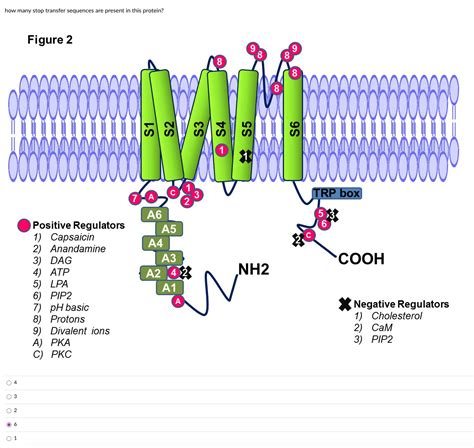 Solved How Many Stop Transfer Sequences Are Present In This