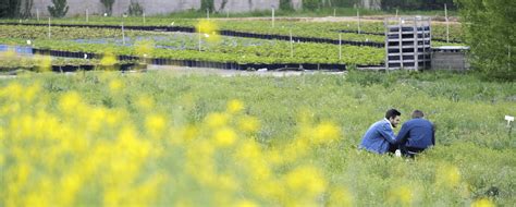 Licence Pro Gestion Des Organisations Agricoles Et Agroalimentaires Parcours Management Des