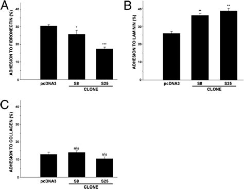 In Vitro Adhesion Assay Relative Adhesion Of The Two Highest