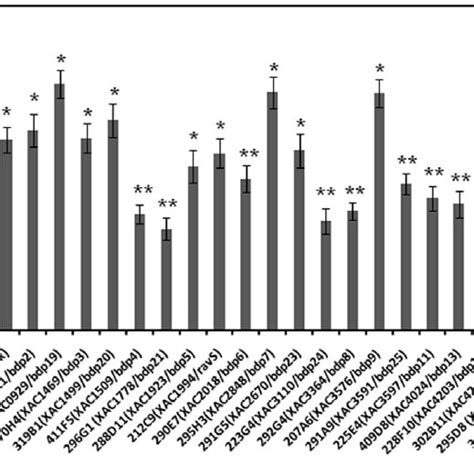 Quantitative Biofilm Assay In Borosilicate Glass Tubes Showing The