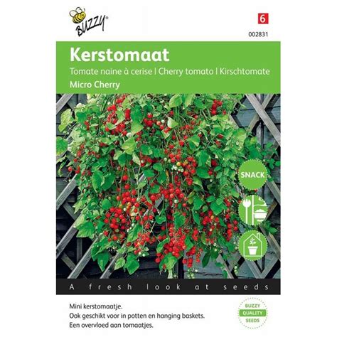 Micro Cherry Dwarf Hanging Tomato Seeds Tomatoes • Tuinzaden Eu