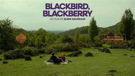 შაშვი შაშვი მაყვალი Shashvi Shashvi Maqvali Blackbird Blackbird