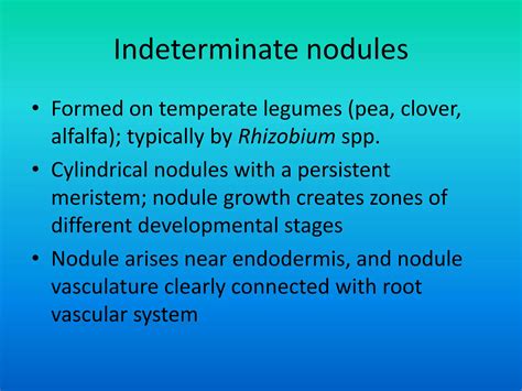 Nodule Formation And Nod Factors PDF