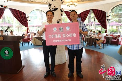 快来围观成都大熊猫双胞胎“热干面”“蛋烘糕”认亲现场 组图 图片中国中国网