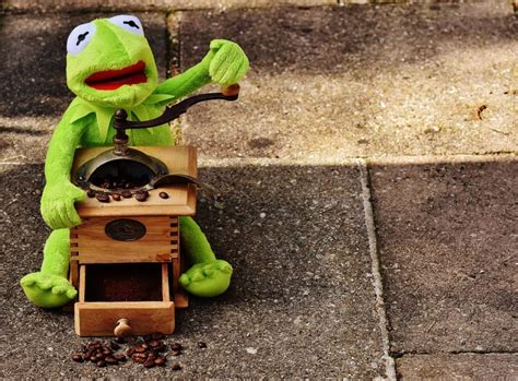 Green Frog Plush Toy And Brown Wood Manual Coffee Grinder Free Image