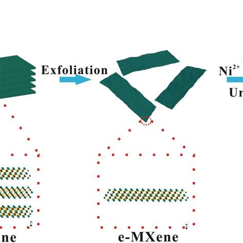 Schematic Diagram Of Preparation Process Of Mxenehs Composites