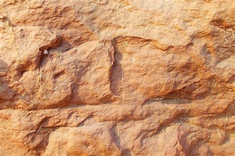 20 Rocks Textures A Texture Graphic By Truemitra Designs In 2025 Rock Textures Grass