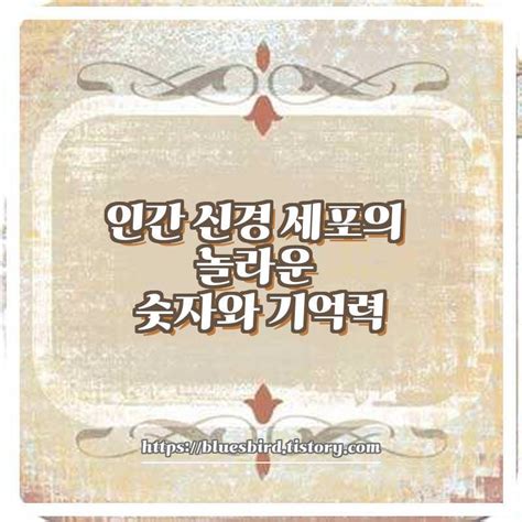 인간 신경 세포의 놀라운 숫자와 기능
