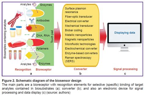 Журнал СТМ Html View Modern Technologies In Medicine