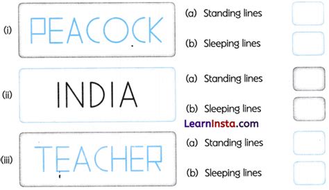 Playing With Lines Class 2 Worksheet With Answers Maths Chapter 5