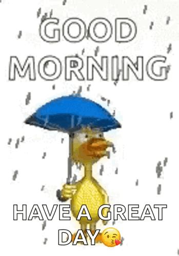 Raining Good Morning Raining Rain Good Morning Discover Share