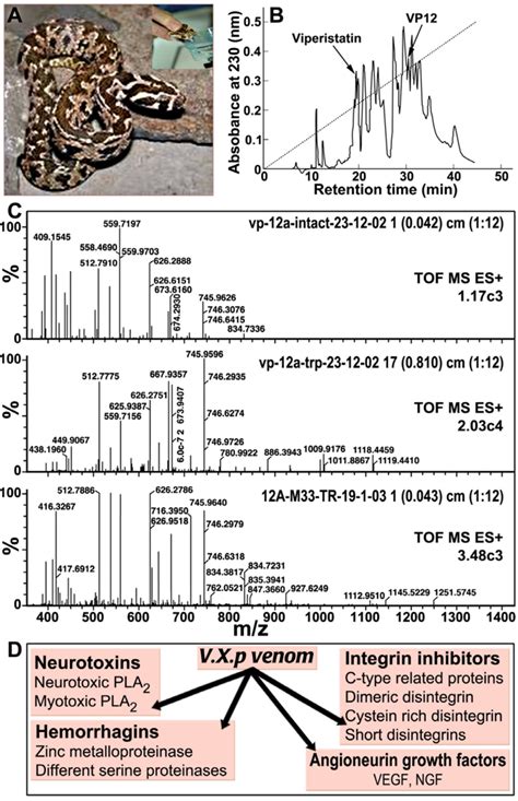 Toxins Special Issue Snake Venoms