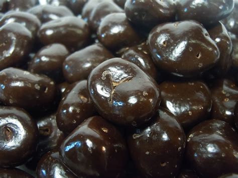 No Sugar Added Dark Chocolate Covered Raisins 8 Oz Bag Bulk Candy Store