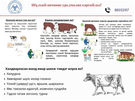 Өмнөговь аймгийн Зоонозын Өвчин Судлалын Төв Facebook