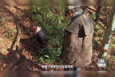 山地硬汉系列：猎人饲养野牛狩猎麋鹿，寒冬驱赶荒野灰熊！